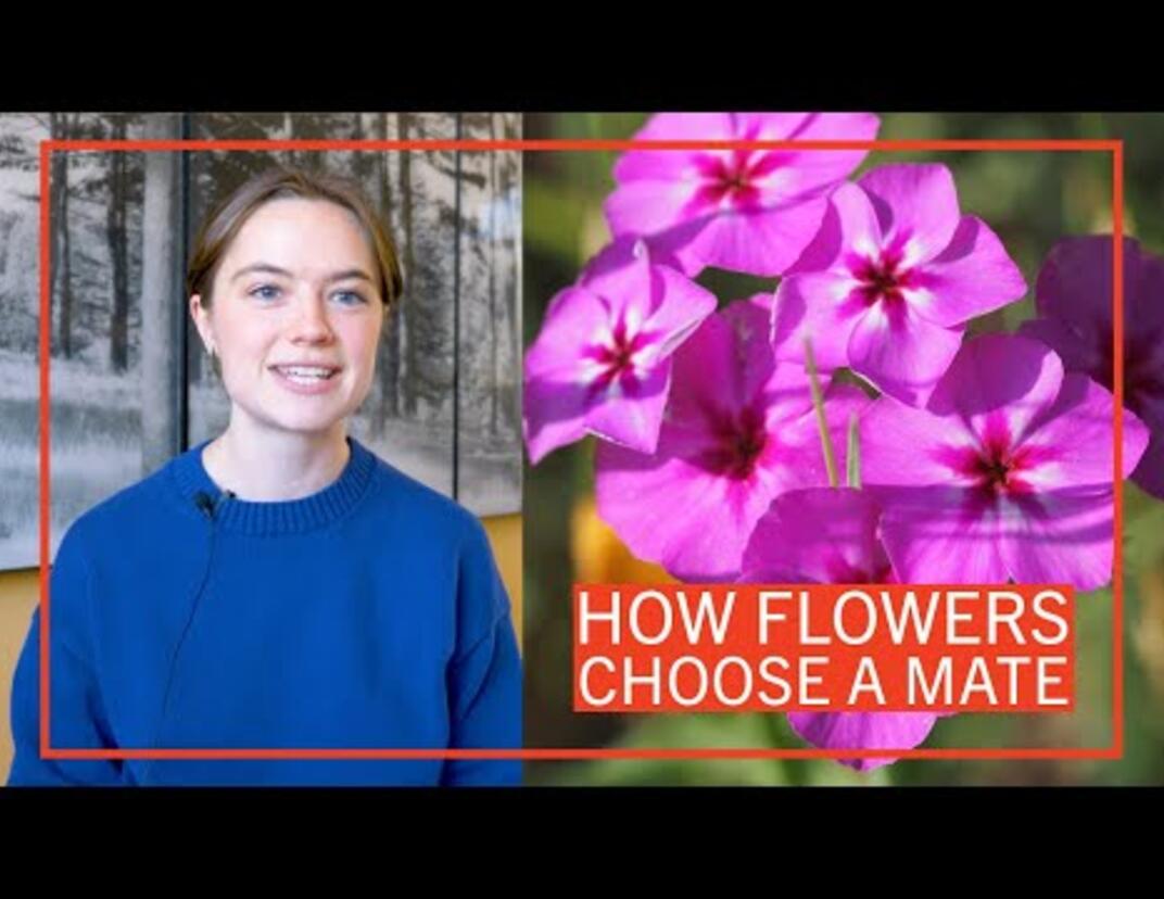 Childhood Trauma, Threat Learning, and Mental Health | The Harvard ...