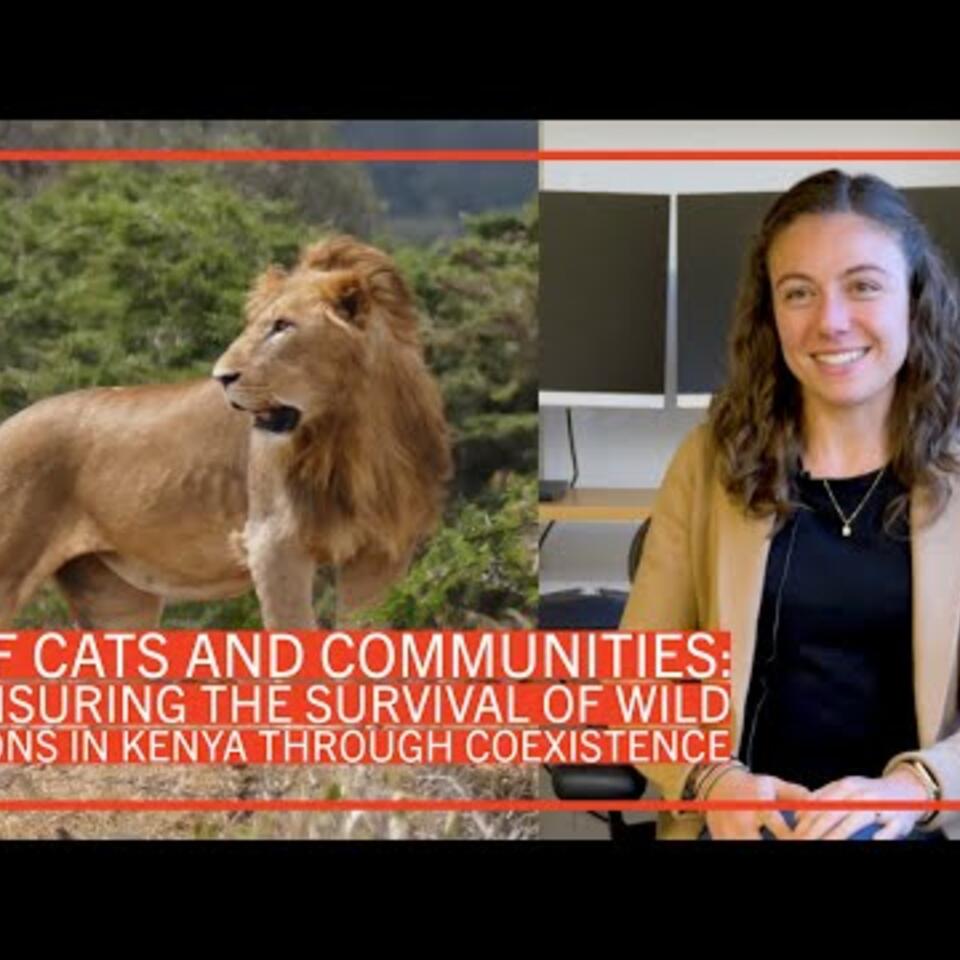 A Beef with Climate Change | The Harvard Kenneth C. Griffin Graduate ...